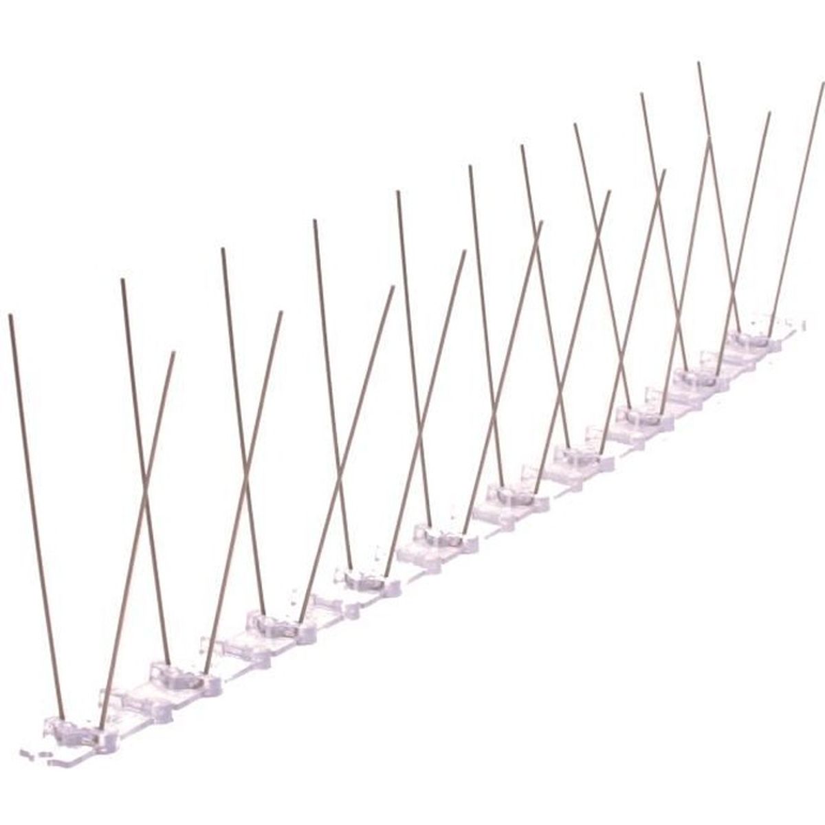 5 mètres pics anti pigeons, 2 rangées pointes en acier inoxydable ...