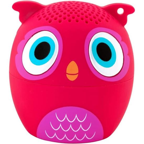 Pylones, Haut Parleur Bluetooth Sing Song 2 Owl[u748] - Cdiscount TV Son Photo