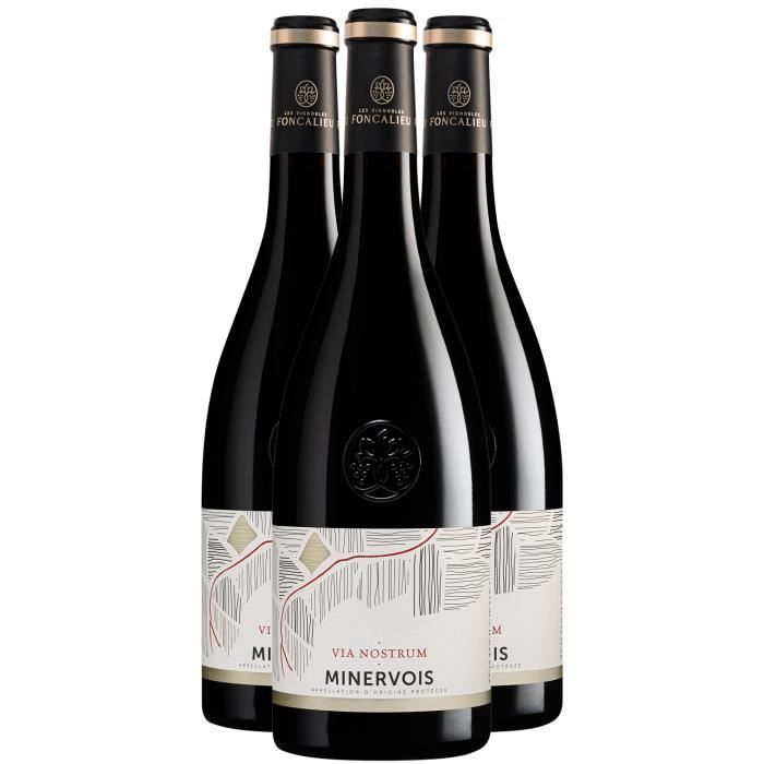 Minervois Via Nostrum Rouge 2019 - Lot de 3x75cl - Les Vignobles ...