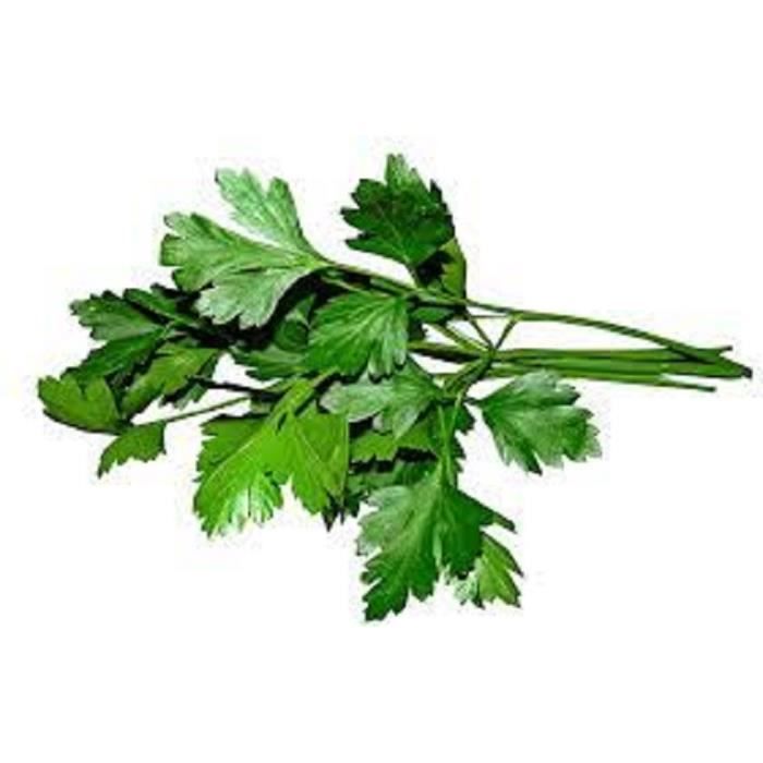 Graines Semences de Persil 12g - Cdiscount Jardin