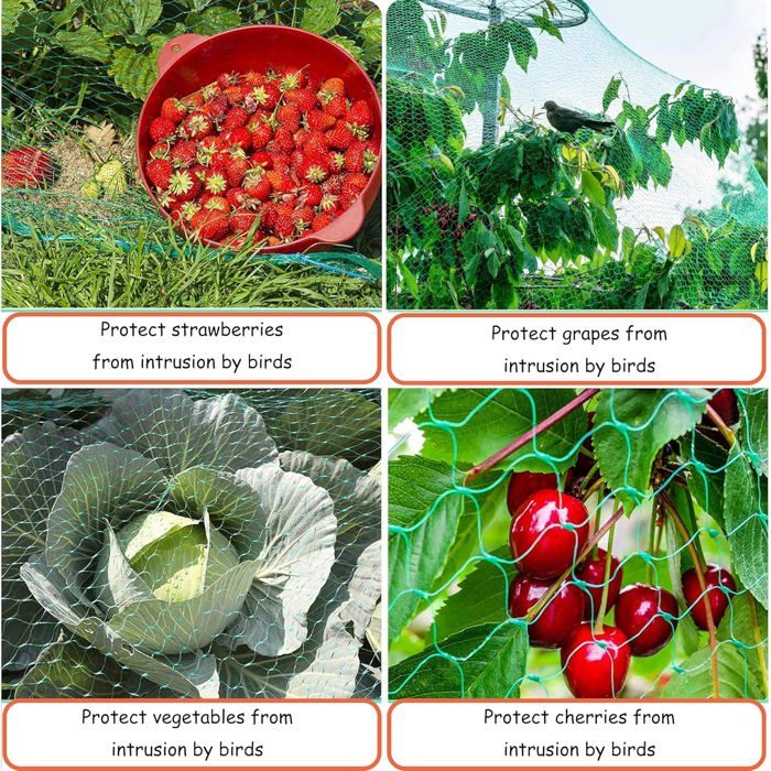 Filet de jardin,filet de protection pour pelouse,clôture de jardin avec ...