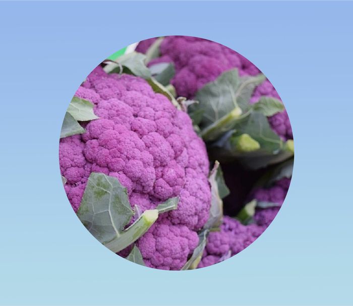 100 graines de carotte flakkee - colmar 2 - saveur douce - carotte avec ...