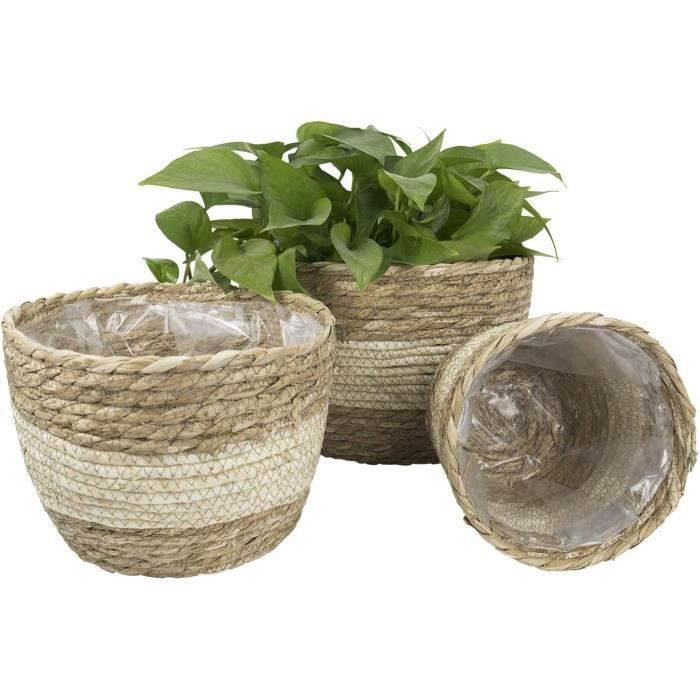 Panier À Plantes D'Herbe De Mer Seagrass Pour Un Usage Interne Et ...