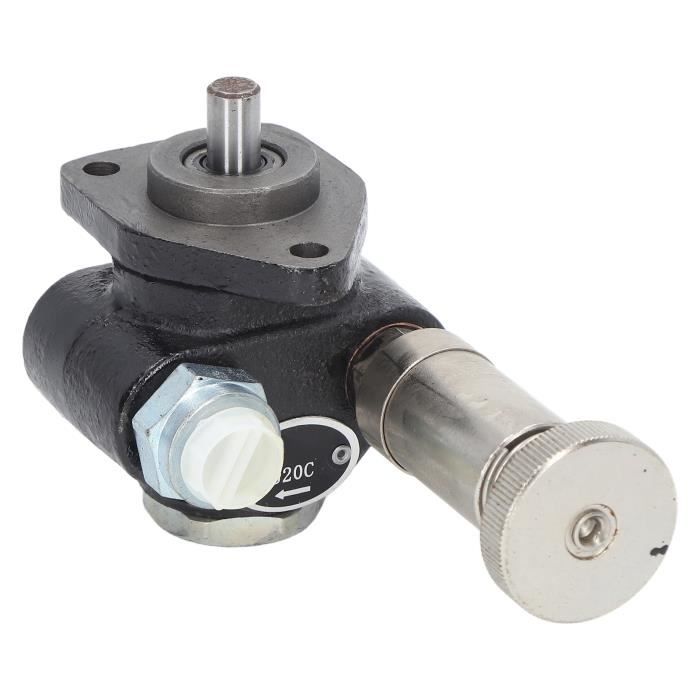 Pompe à Carburant - DIOCHE - 2552969 - Acier Alliage - Compatible ...