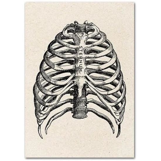 Posters Impressions sur Toile,Anatomie Humaine Oeuvre Médicale Mur ...