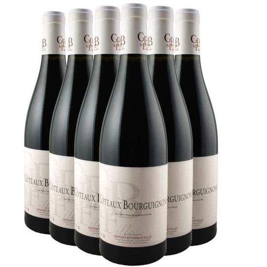 Côteaux Bourguignons Rouge 2021 - Lot de 6x75cl - Domaine Gavignet ... Côteaux Bourguignons Rouge 2021 - Lot de 6x75cl - Domaine Gavignet ...