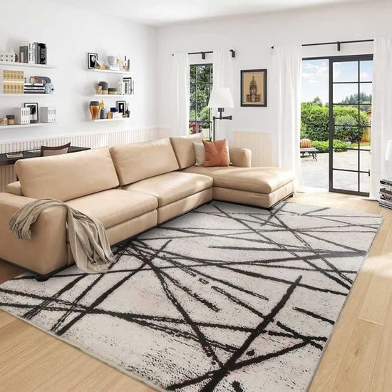 Tapis Salon Beige Tapis Chambre Tapis Poils Ras Style Moderne Tapis ...