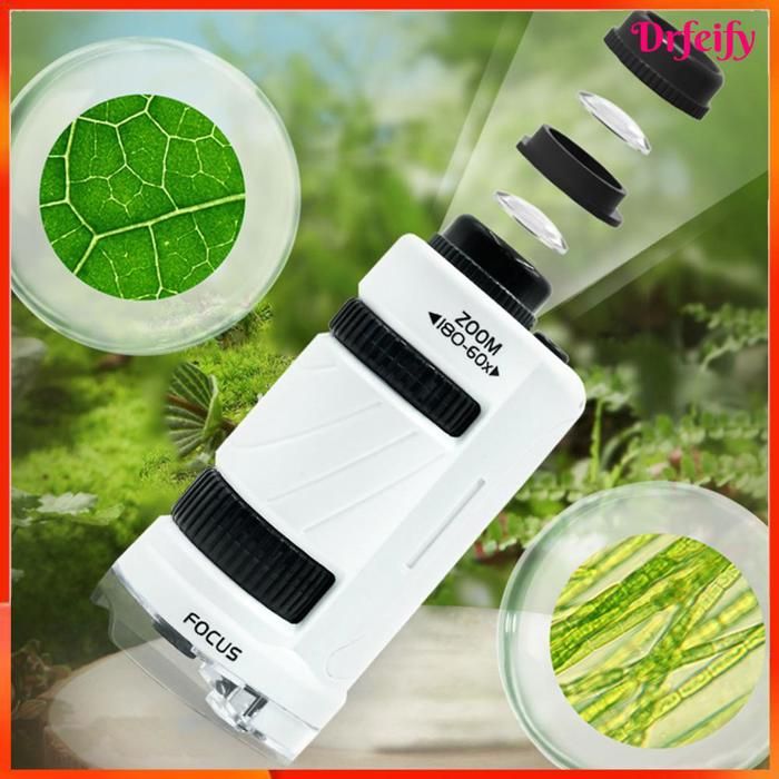 Akozon Kit de microscope scientifique pour enfants Kit de Microscope ...