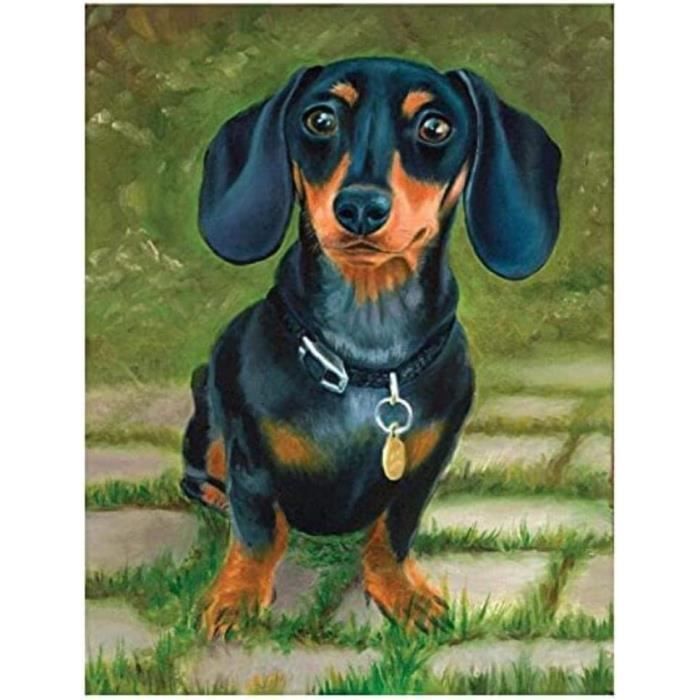 Kits De Peinture Diamant Mosaïque Pour Adultes Bricolage 5D - Animal ...