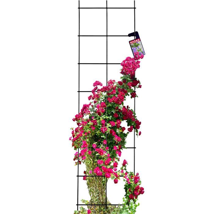 KADAX Treillis mural en acier pour plantes, jardin, balcon, terrasse ...