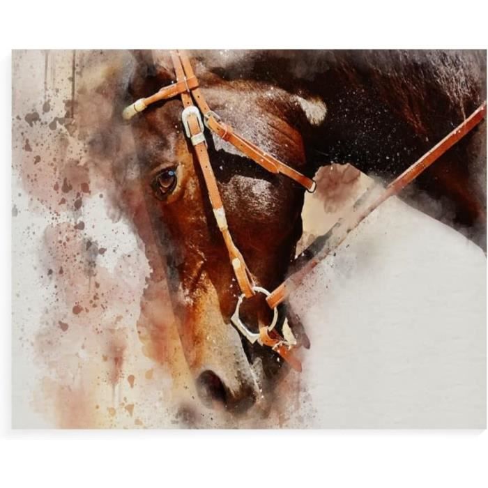 Peinture Par Numero Adulte Cheval Kit Peinture Acrylique Et Toile Par ...