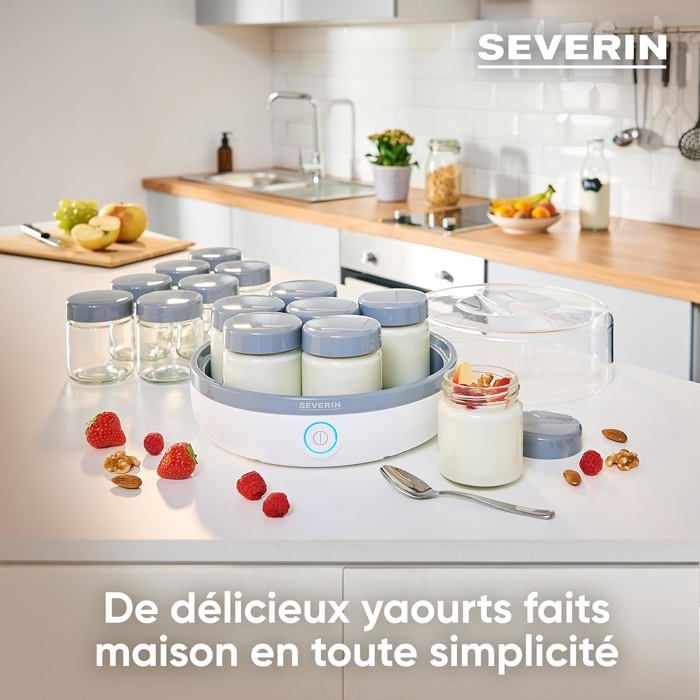 Yaourtière Pratique Et Compacte, Machine À Yaourt Maison 13 W ...