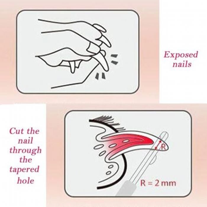 Coupe-griffes pour chats, coupe-griffes conique 2 mm, accessoires pour ...