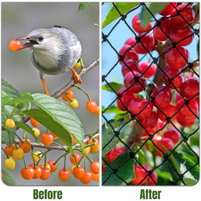 Filet Poules,Filet Anti Oiseaux,4m x 10m Filet Oiseaux,Filet Voliere Poulailler,Filet de ...