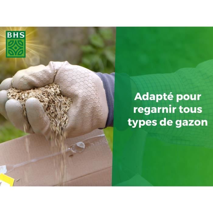 Semence de gazon - BHS - Gazon Regarnissage 1kg - Cdiscount Jardin
