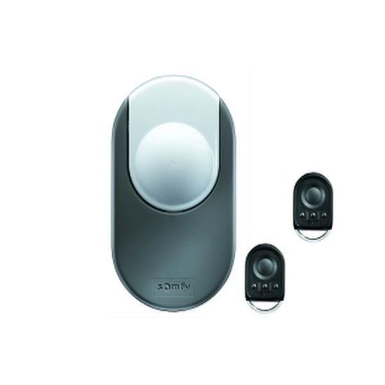 Motorisation DEXXO PRO 1000 RTS pour porte de garage - SOMFY ...
