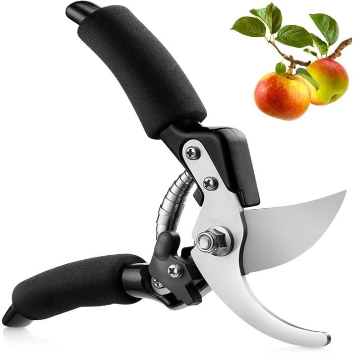 Sécateur Professionnel en Acier Titane - Taille Précise et Durable pour ...