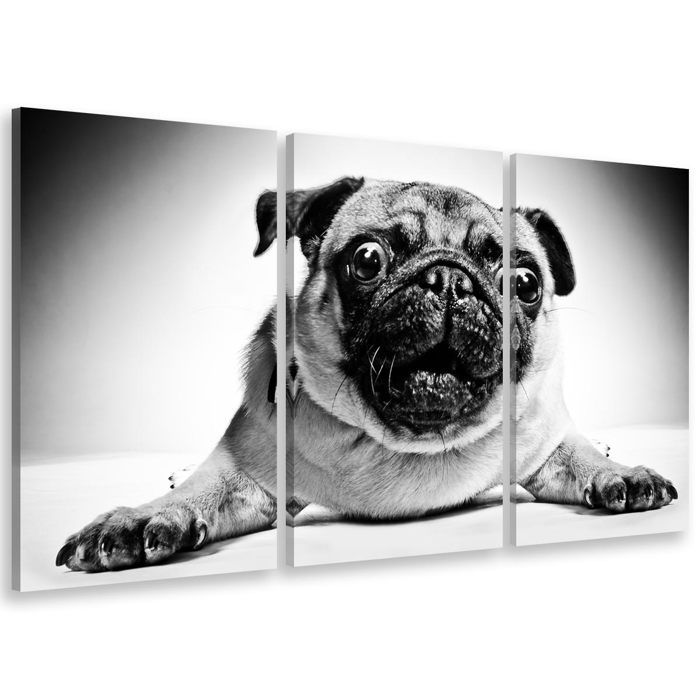 Tableau Contemporain - HXA DECO - Animaux Carlin - Noir et Blanc ...