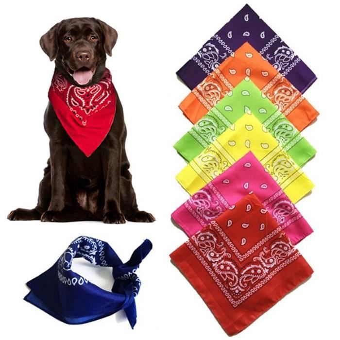 Collier bandana en cuir pour chien et chat, 1 pièce, bavoir ...