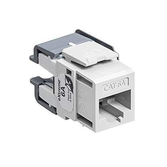 Socket RJ45 Cat.6A - Leviton - 6110G-RW6 - Blanc - Intérieur - UTP ...