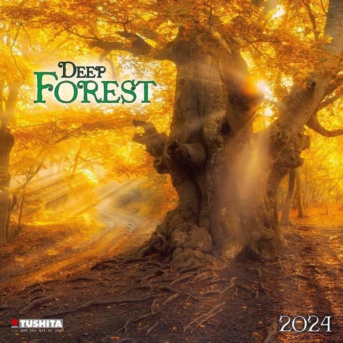Calendrier 2024 Foret - Animaux De La Foret - Arbre - Nature - (Ts ...