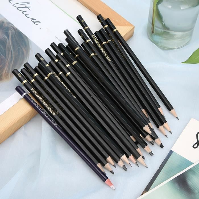 Crayon à croquis Ensemble de Crayons de Dessin Professionnels 24 Pièces, Fournitures D'art au ...