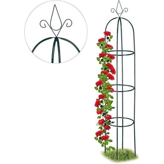 Tuteur Jardin, Pyramide Haute 200 cm, Colonne Rosier, Arche Plante ...