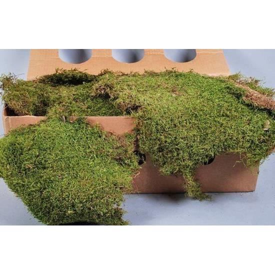 Plaques de mousse décorative, vert naturel, 2kg - tapis décoratif ...