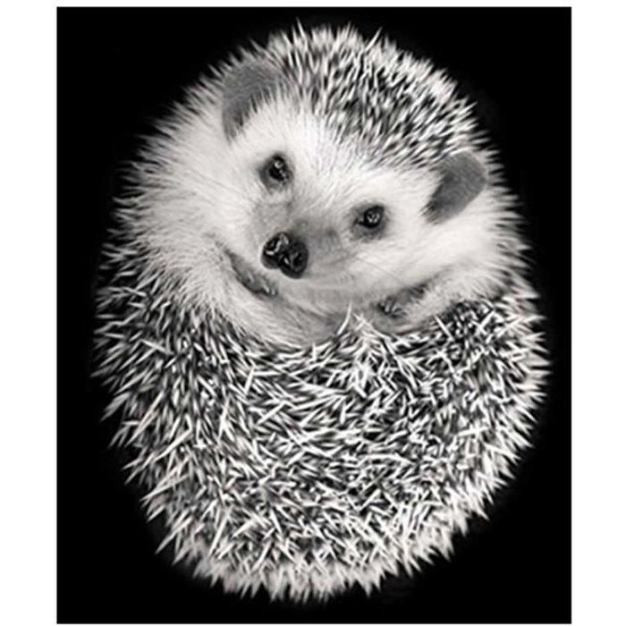 DIY 5D Diamant Peinture Motif de Hérisson Point de Croix Broderie ...