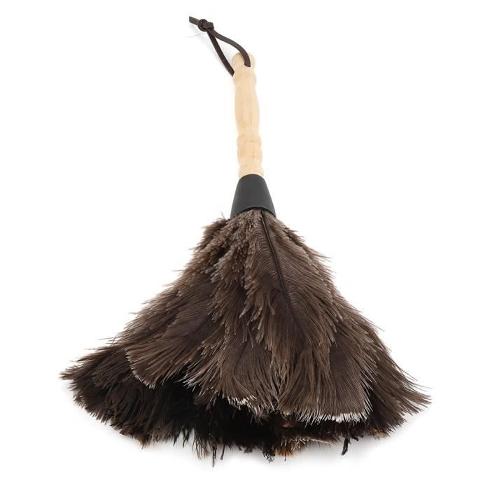 Plumeau, mini plumeau réutilisable lavable en plumes d'autruche avec ...