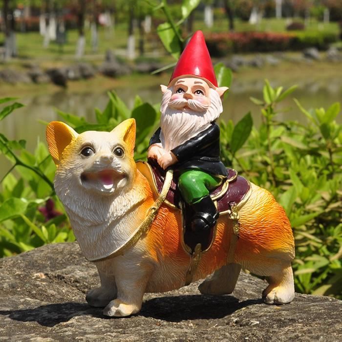 Statues de nain de jardin, nain d'équitation de chien pour les ...