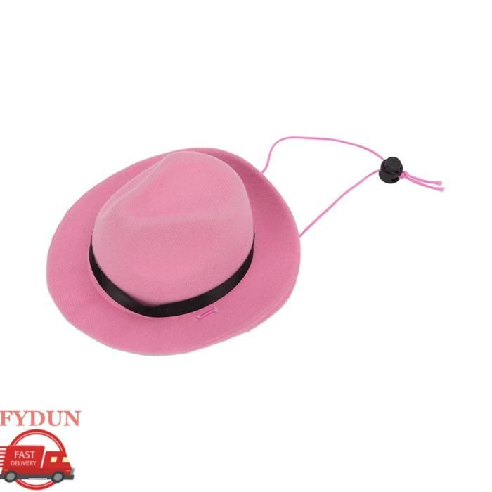 FYDUN Chapeau de cow‑boy pour animaux de compagnie Chapeau de Cow-boy ...