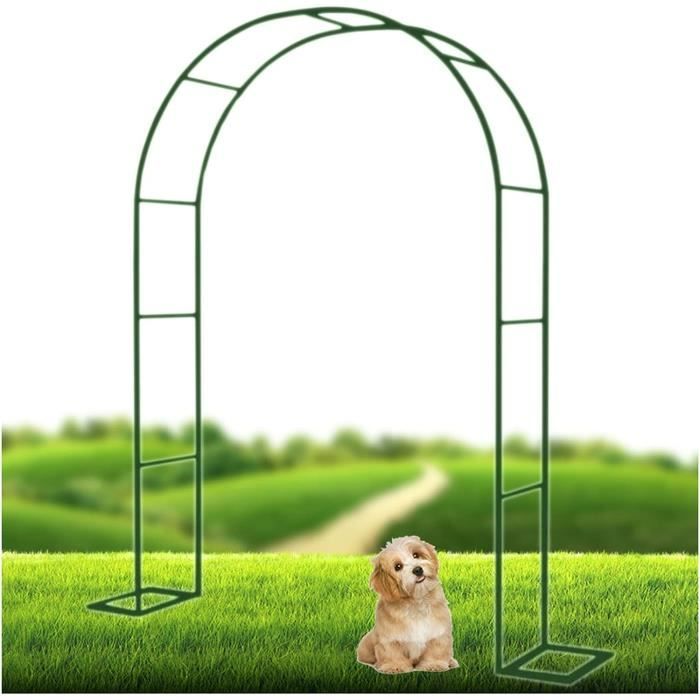 Arceau De Jardin Arche En Métal Arcade À Rosiers Durable Tuteur De ...