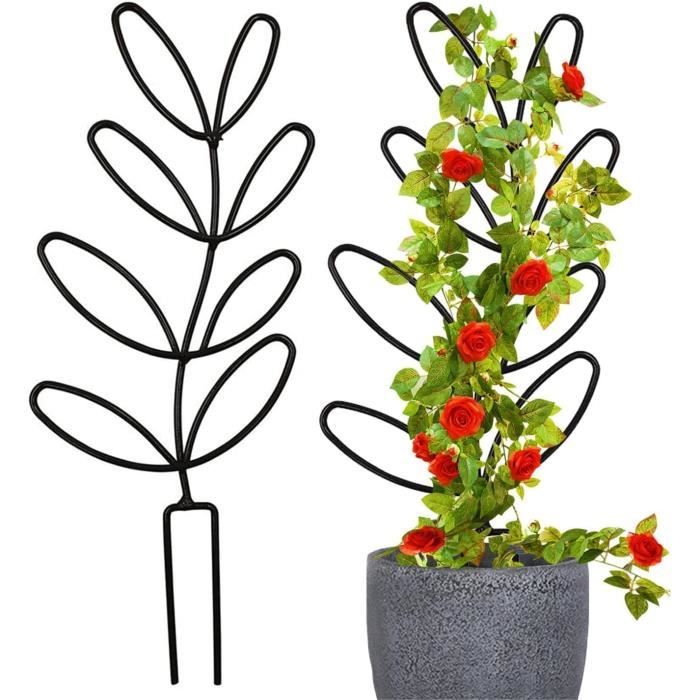 Petit Treillis pour Plantes grimpantes, Mini Treillis de Jardin pour ...