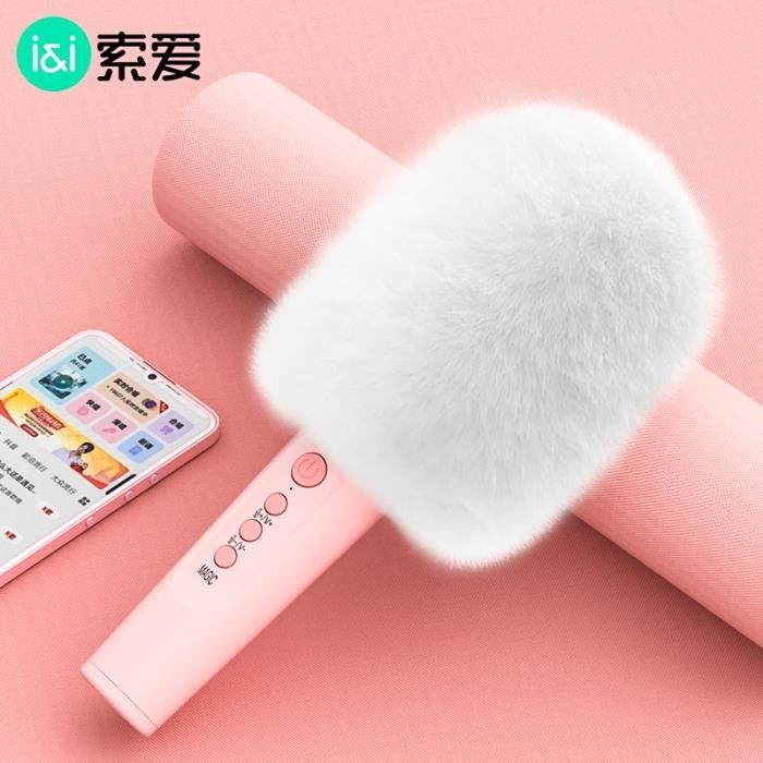 Rose avec manche Microphone professionnel sans fil Bluetooth, karaoké ...