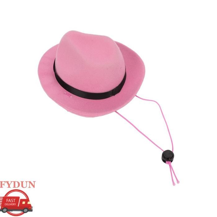 FYDUN Chapeau de cow‑boy pour animaux de compagnie Chapeau de Cow-boy ...