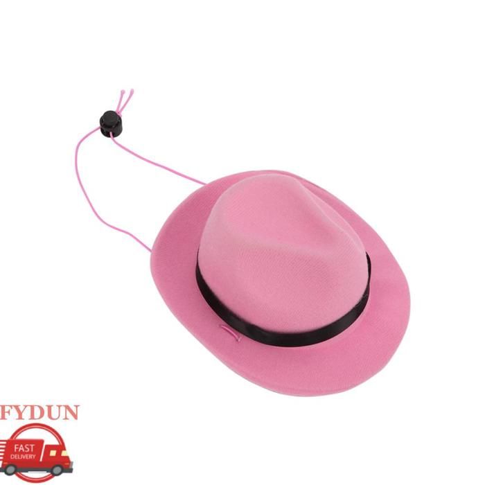 FYDUN Chapeau de cow‑boy pour animaux de compagnie Chapeau de Cow-boy ...