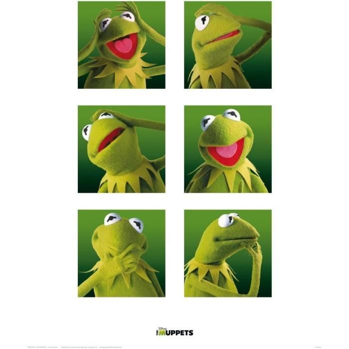 Muppets Poster Galérie Kermit Dans Tous Ses États Affiche Reproduction ...