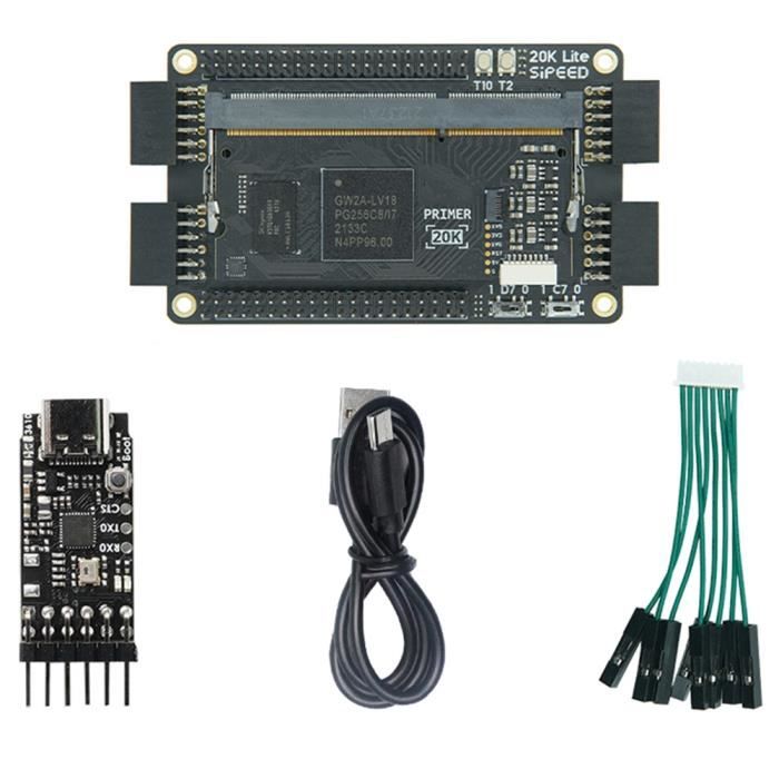 Pour Tang Primer 20K Kit de Carte MèRe 128M DDR3 GOWIN GW2A FPGA Core Board SystèMe Minimum ...