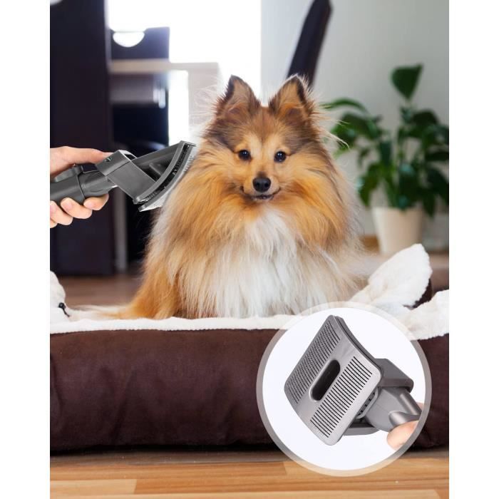 Brosse Poils Chat et Chien pour Aspirateur Dyson V15 V11 V10 V8 V7,Avec ...