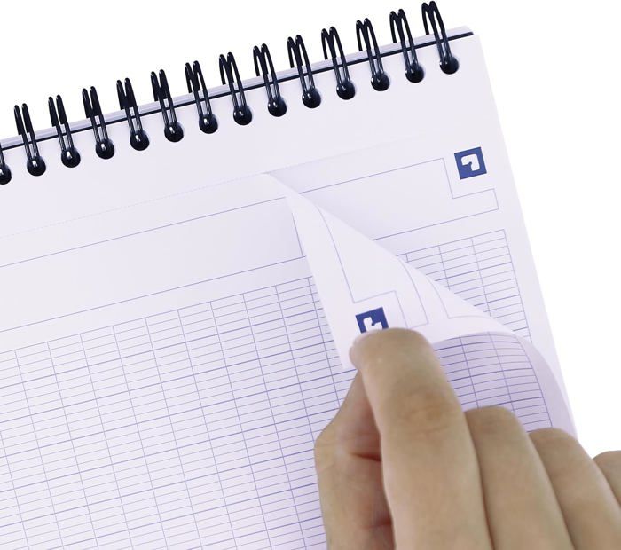 Easynotes Bloc-Notes À Spirales Format A4+ 160 Pages Grands Carreaux ...