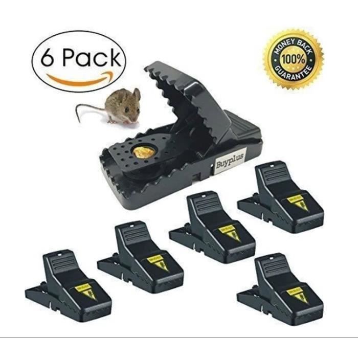 Mouse Trap 6 pack Tapettes a Souris pour Tuer les Souris, Rapide et ...