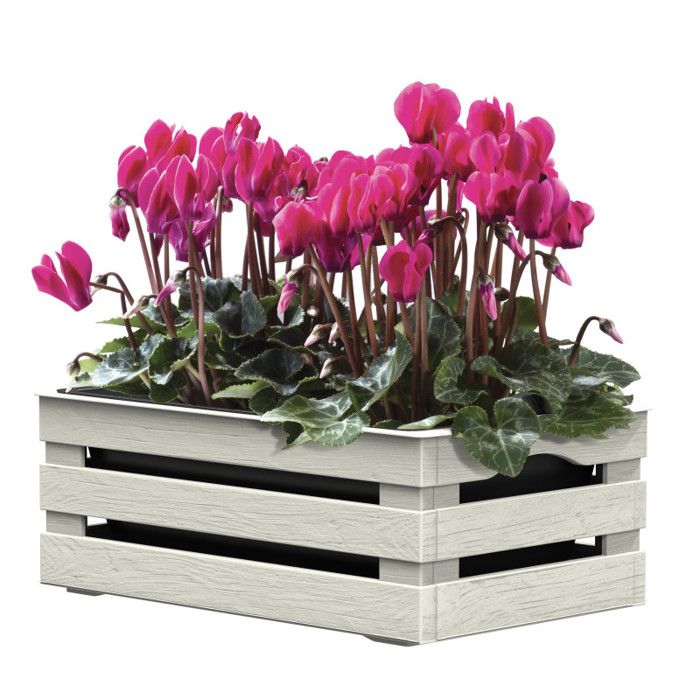 Jardinières et pots de fleurs - Bama - Caisse à fleurs avec pot ...