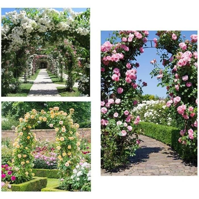 Arche De Jardin En Métal, Arche De Fleurs, Arche De Portail, Treillis ...