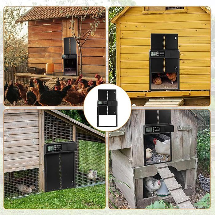 Porte Automatique Poulailler Avec Minuterie Design Anti-pincement Écran ...