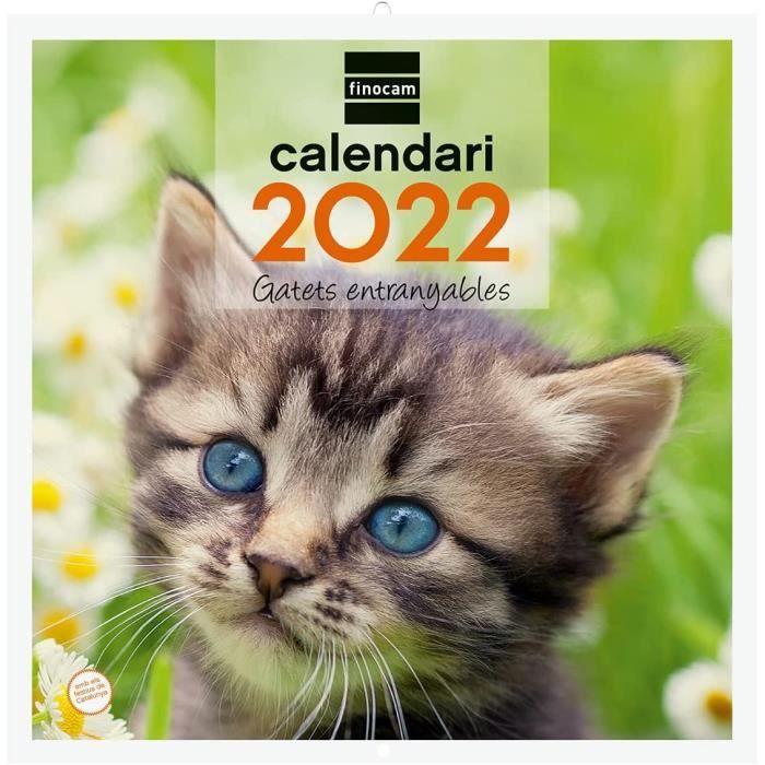 Calendrier mural 2022-Islande-30,5 x 30,5 cm-Vue mensuelle-16 mois ...