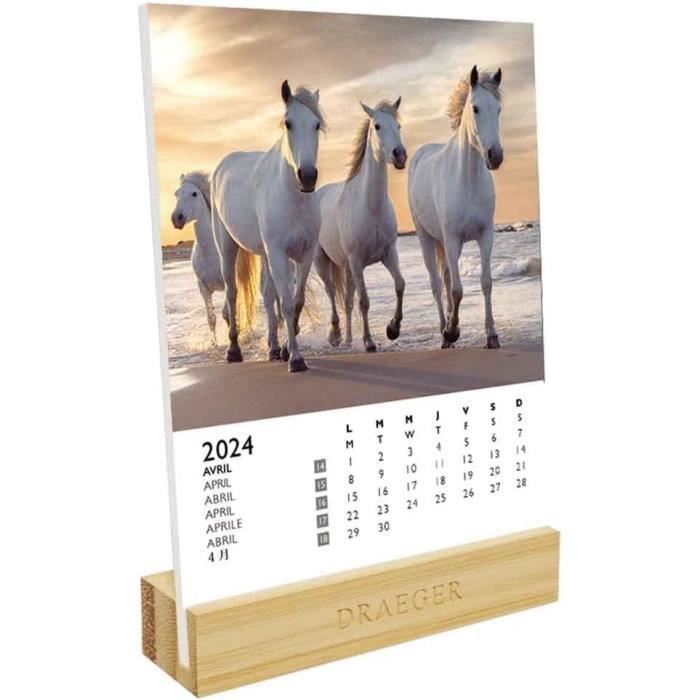 Draeger Paris | Calendrier Sur Socle Chevaux 2024 |12 X 16,5 Cm | Année 2024 | 7 Langues ...