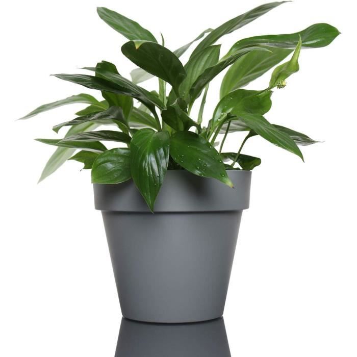 Pot De Fleur Plastique 6 X 12 Cm - Gris - Cache Pot Plante Interieur ...
