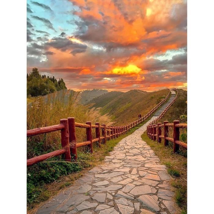 Diy Broderie Diamant Kit Complet Coucher De Soleil Sur La Route, 5D ...