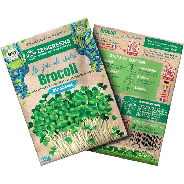 Graines de brocoli bio - Choisissez entre 10g, 200g et 500g - Graines ...